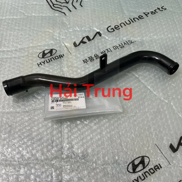 Ống nước Hyundai Santafe 2005-2012 chính hãng 256802F000